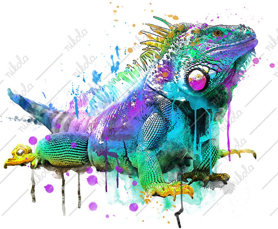 Iguana Watercolor Sublimation, Clipart, Lizard, Reptile, PNG - Etsy