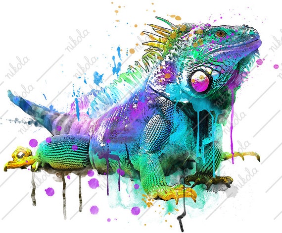Iguana Watercolor Sublimation Clipart Lizard Reptile PNG - Etsy