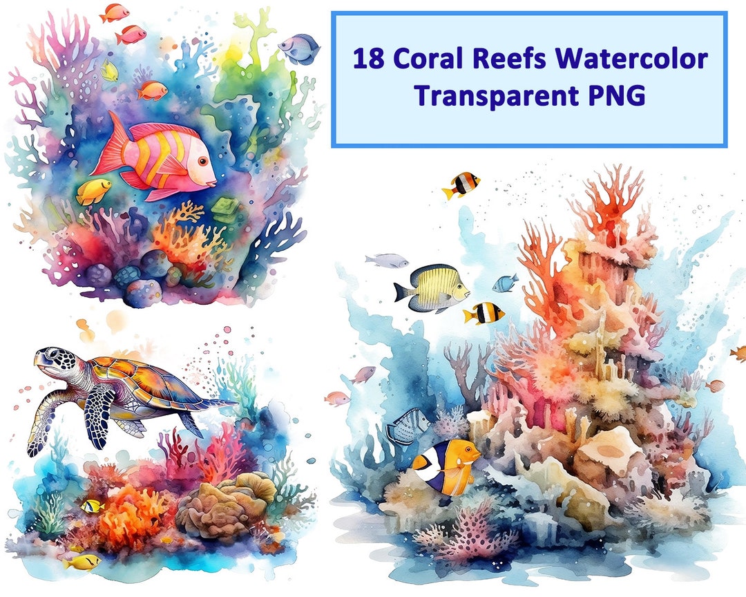 Coral Reef Watercolor, Underwater, Undersea, Subaquatic, Ocean 18 PNG ...