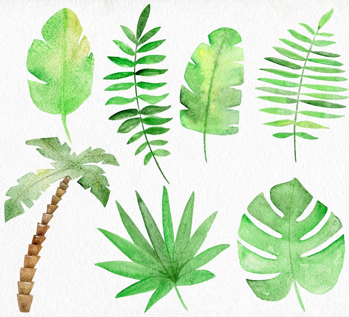 Safari Watercolor Clipart Digital Download Jungle Animals | Etsy