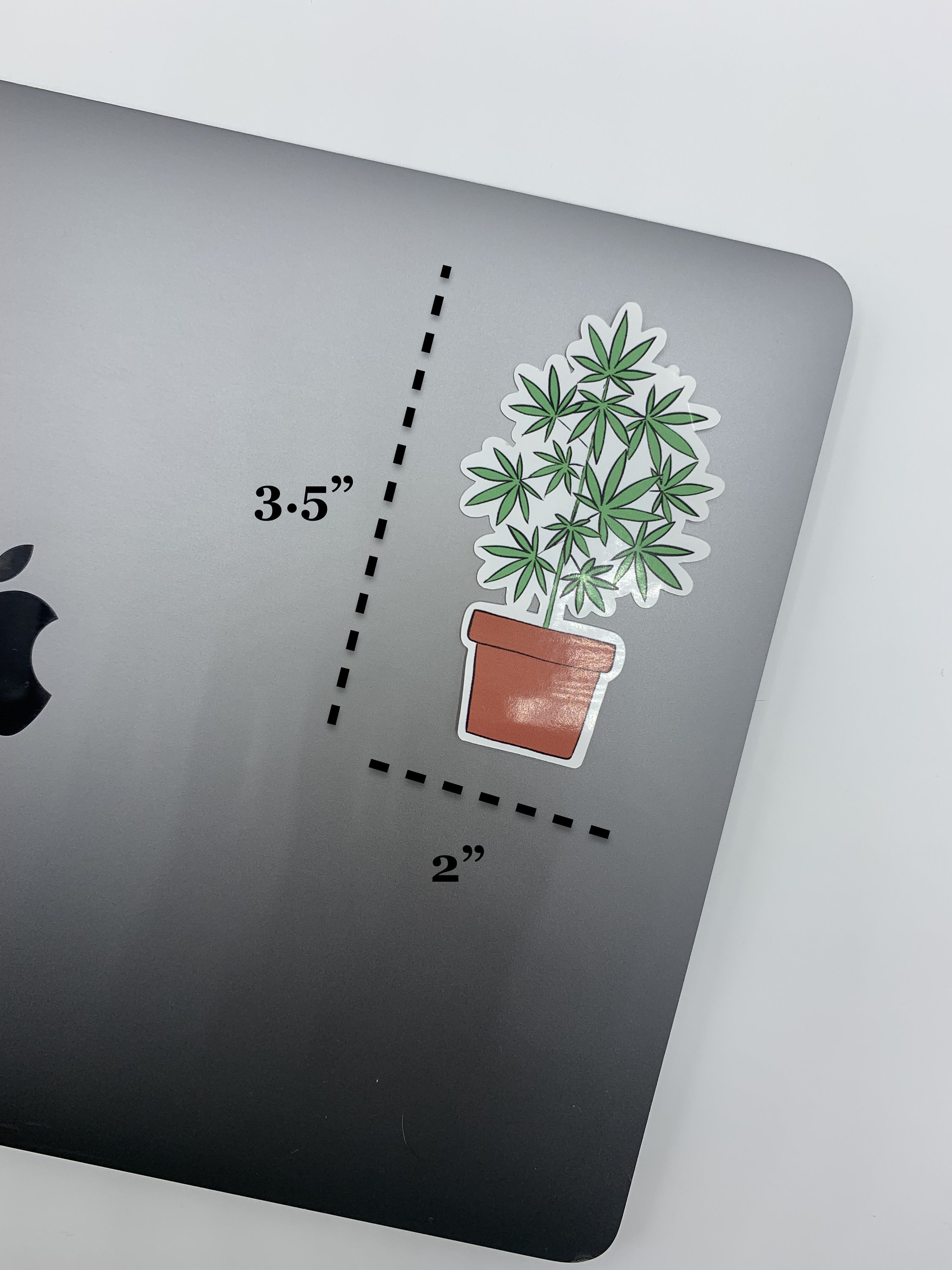 Cannabis Leaf Sticker Pack / Weatherproof Sticker Pack / 4pc - Etsy