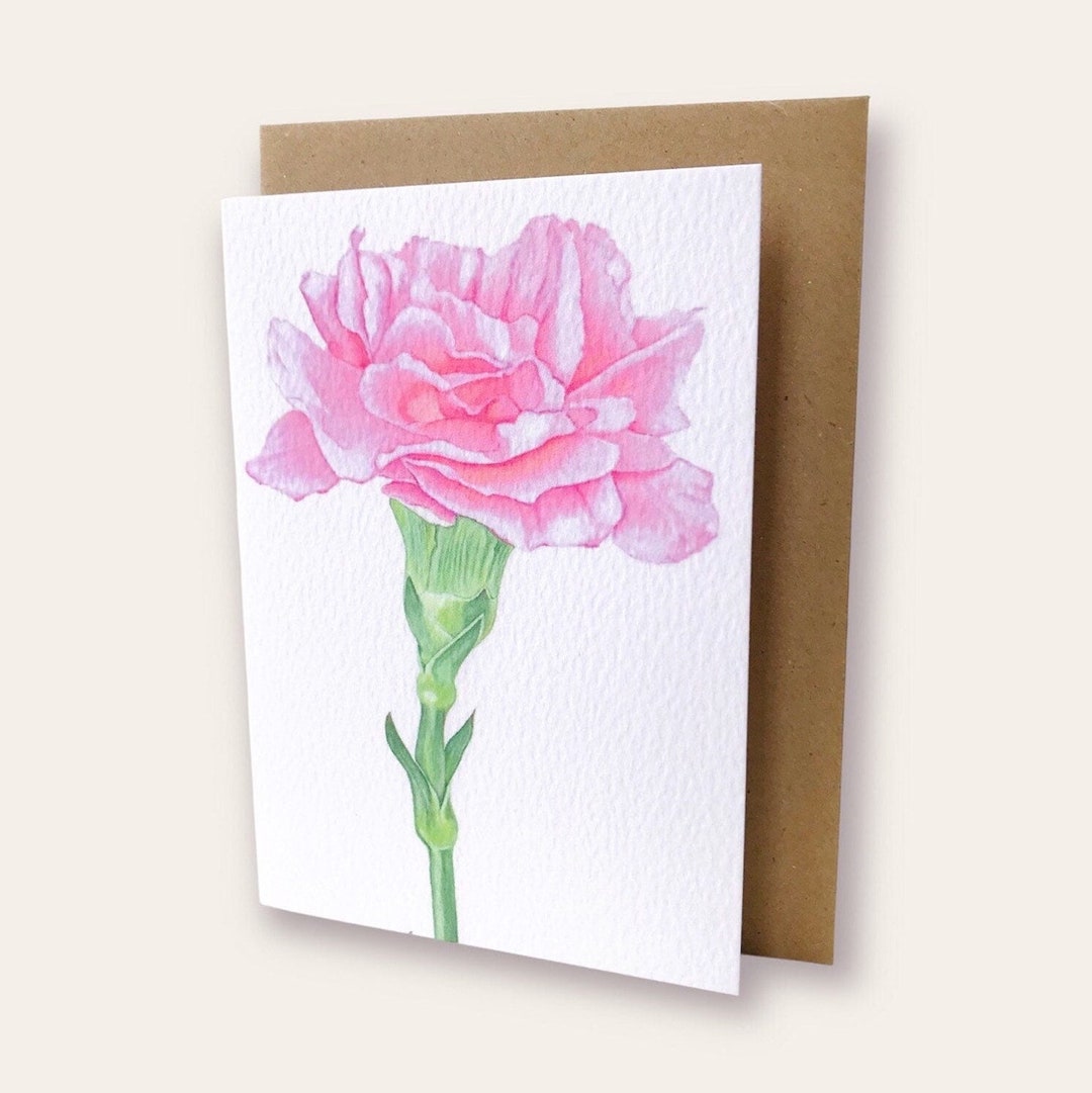 Pink Carnation Greeting Cards - Great for Many Occasions - Gift for Her ...