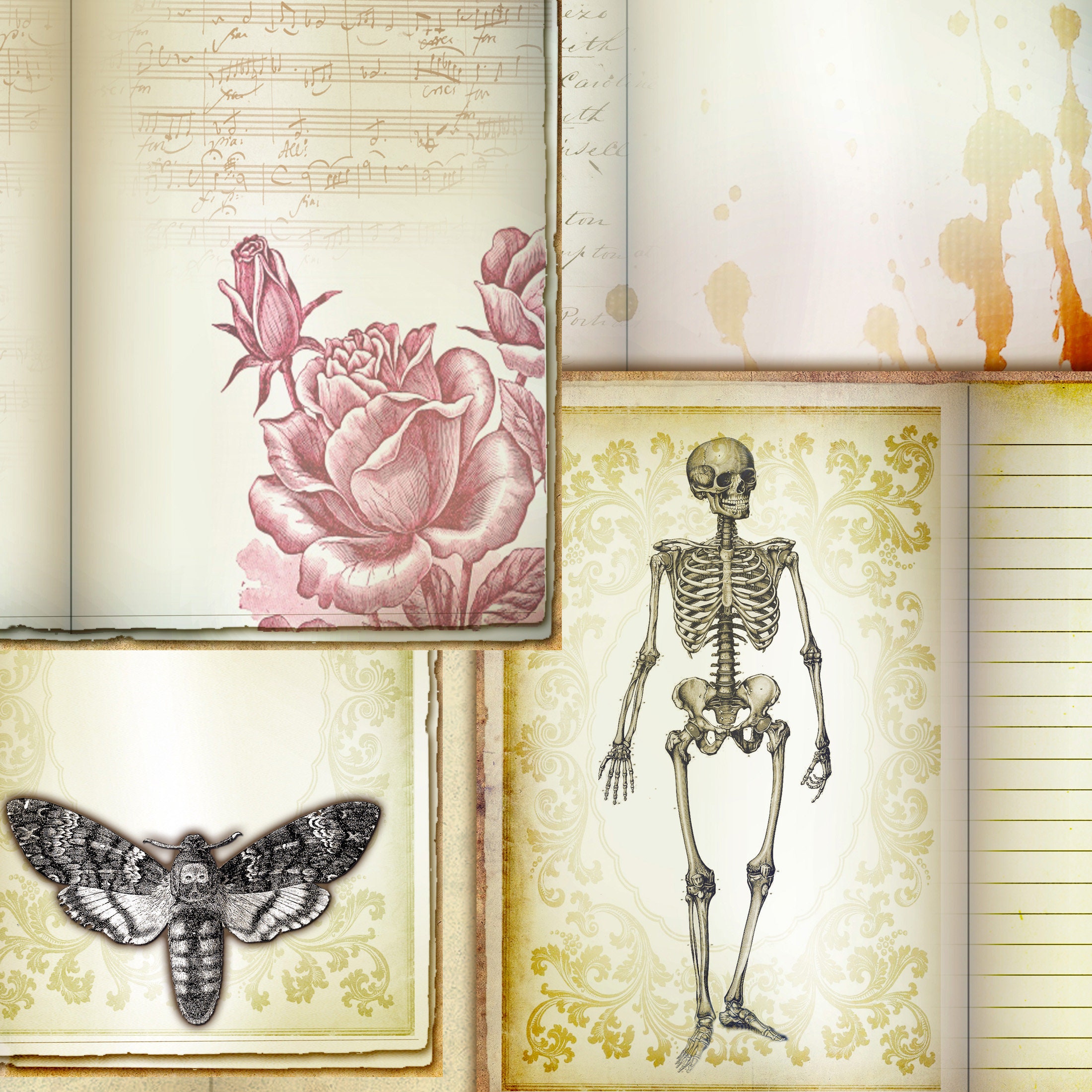 Macabre Printable Journal Page Kit - Bordered, Lined and Plain Grunge ...