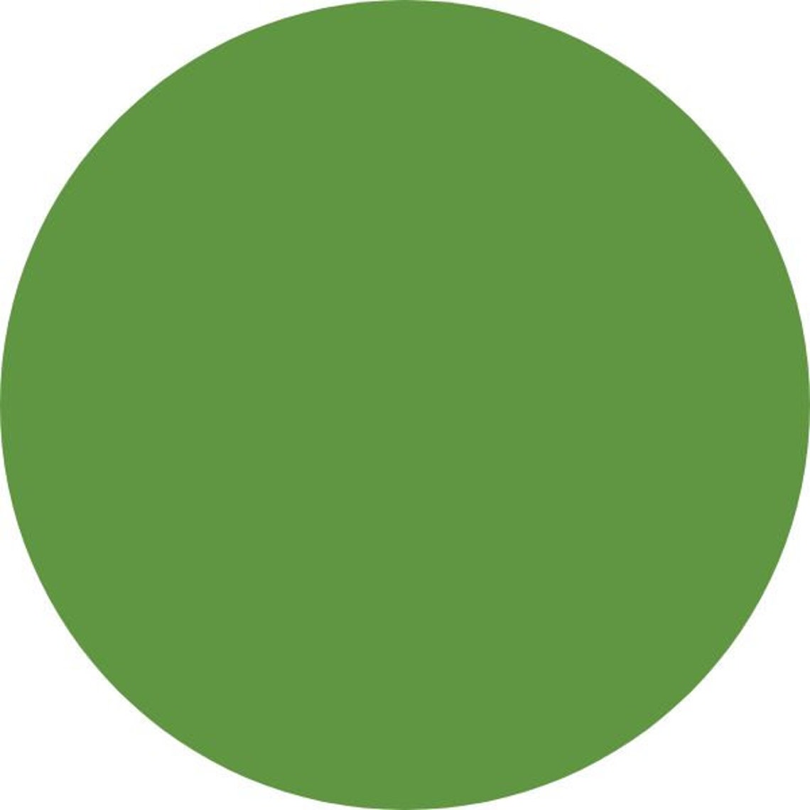 Digital Colour Palette - Citrus HEX Codes Included, Colour Palette ...