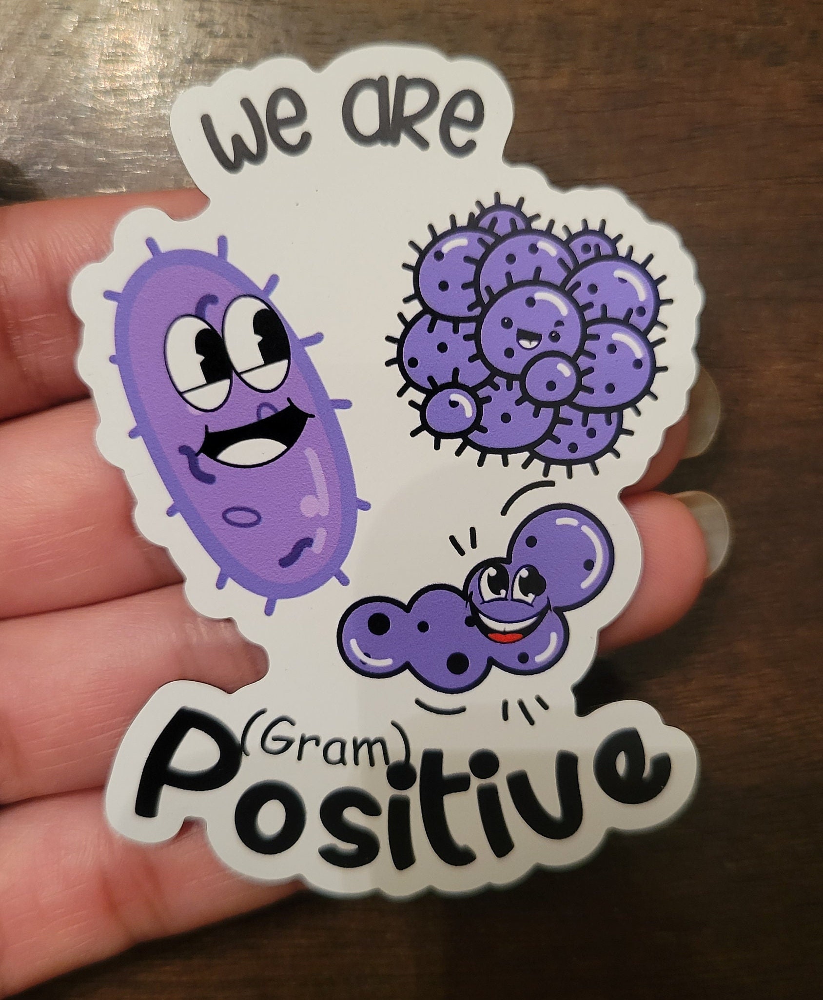 Gram-positive Bacteria Magnet: Funny Science Gift - Etsy