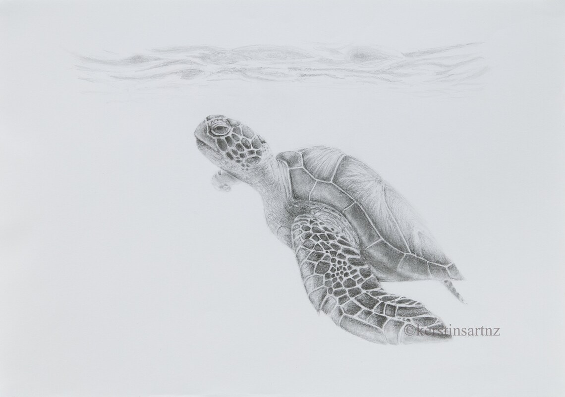Just Chilling...sea Turtle Art Print Turtle Drawing Black - Etsy