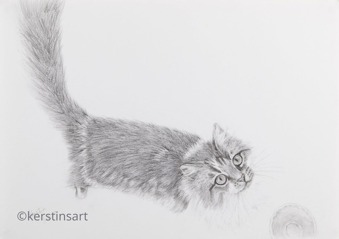 Fluffy Tabby Cat Art Print: Big Eyed Hungry Cat (A4) “lulu” - Etsy
