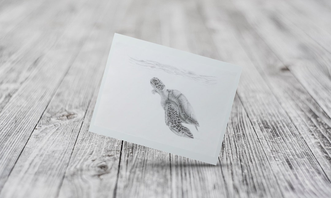 Just Chilling....sea Turtle Note Card, Turtle Greeting Card, Turtle ...