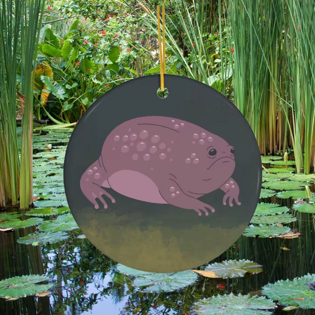 Sad Fat Frog, Ceramic Frog Ornament, Desert Rain Frog, Cute Frog Gifts ...