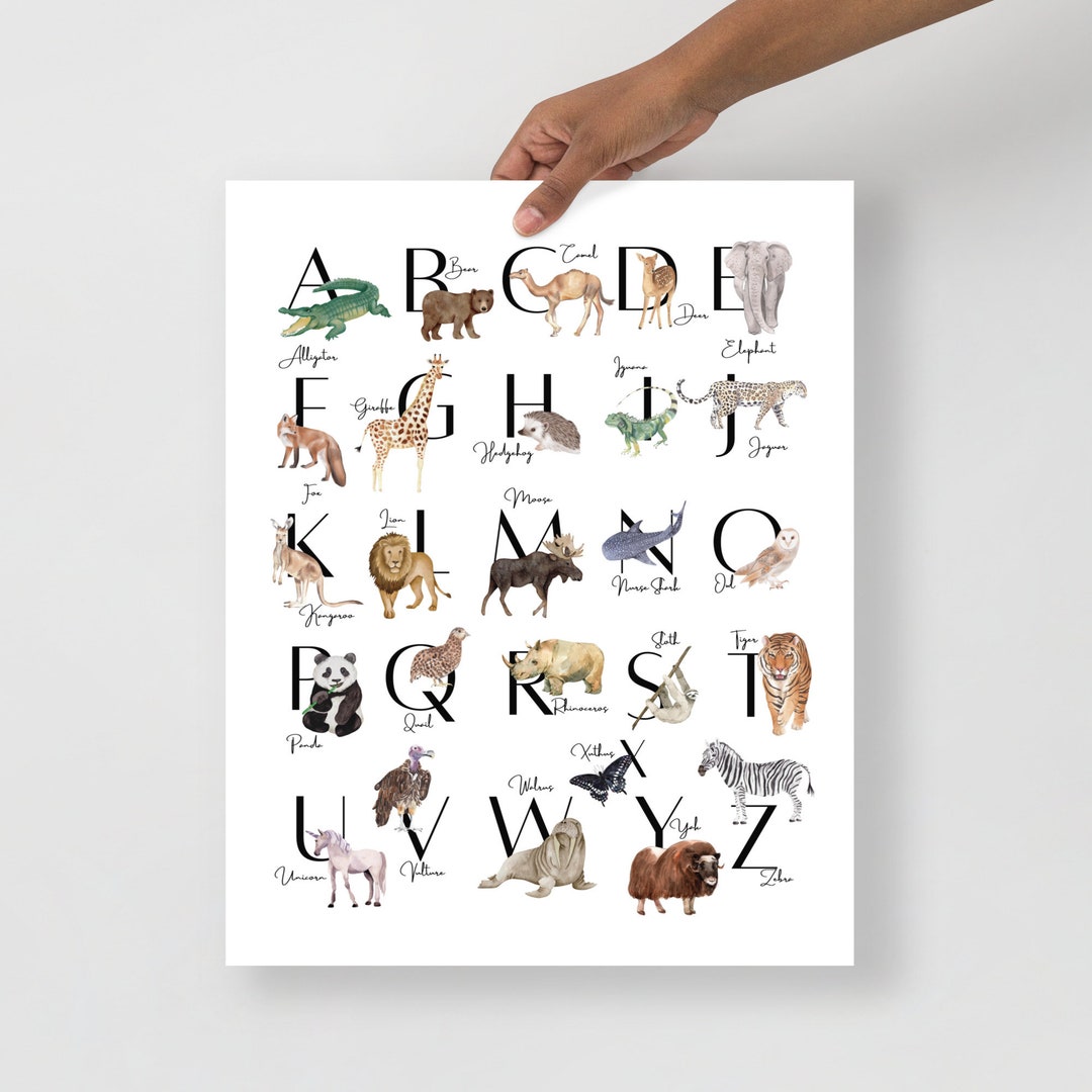 Alphabet Animal Poster Print - Etsy