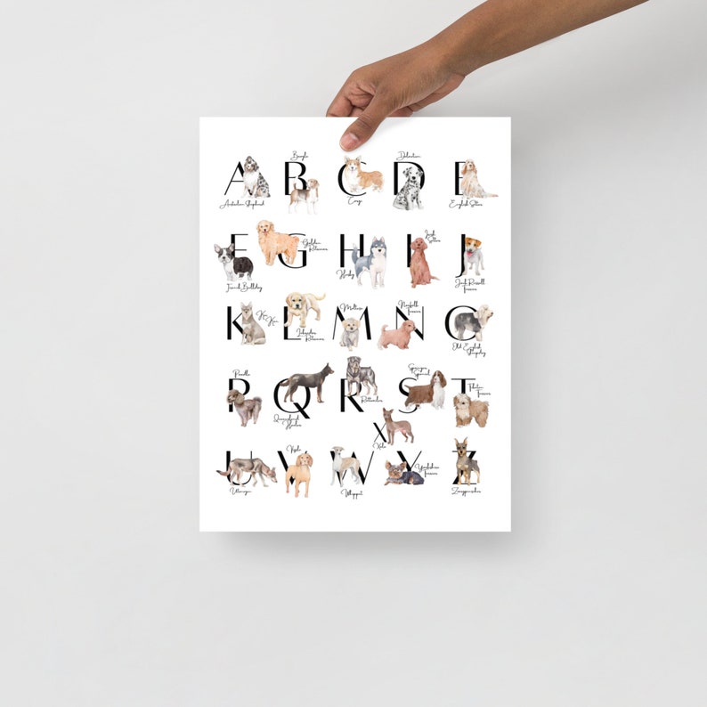 Alphabet Dog Breeds Poster Print - Etsy