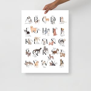 Alphabet Dog Breeds Poster Print - Etsy