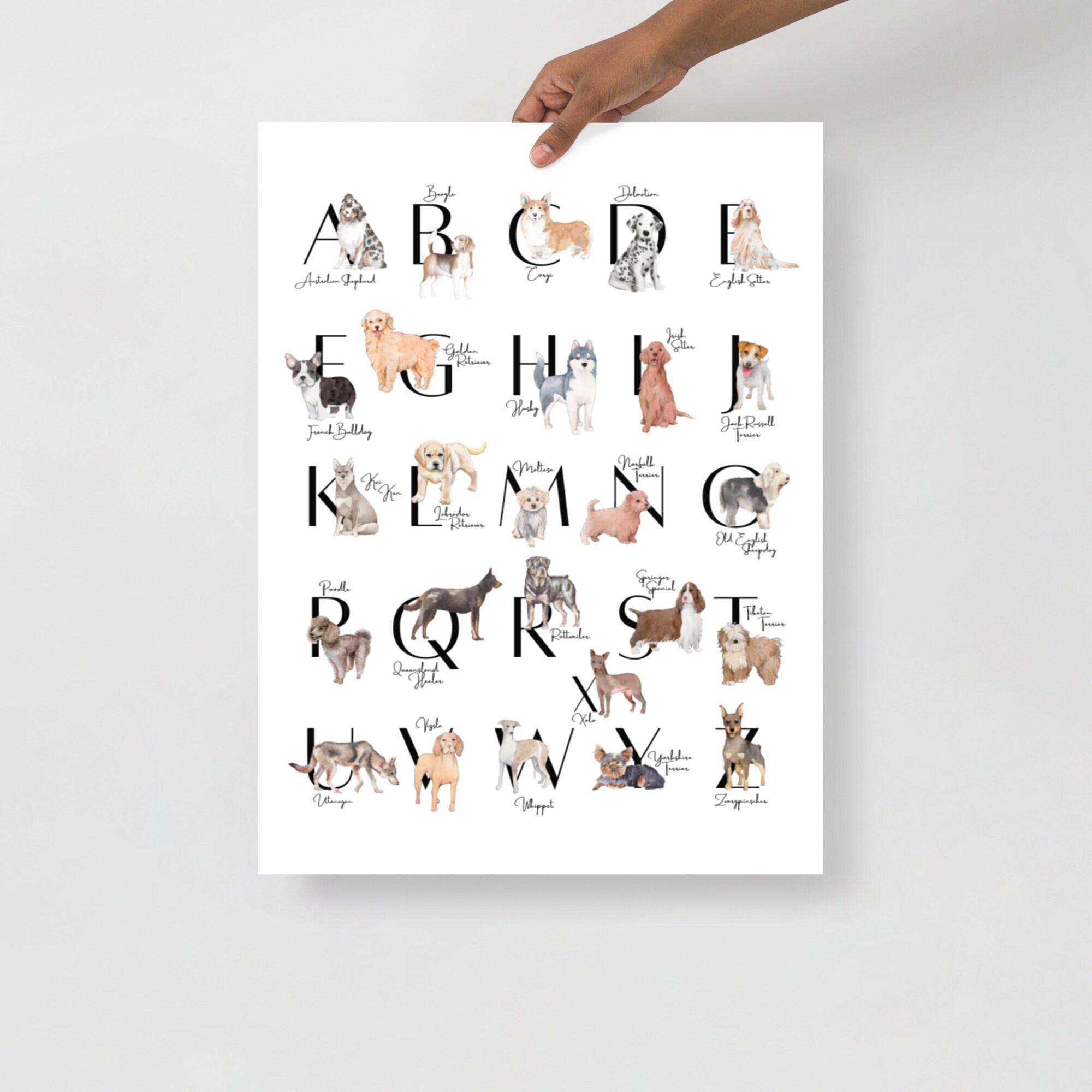 Alfabeto Razas de perros Póster Imprimir - Etsy México