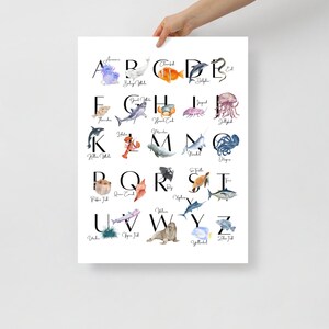 Alphabet Sea Creatures Poster Print - Etsy