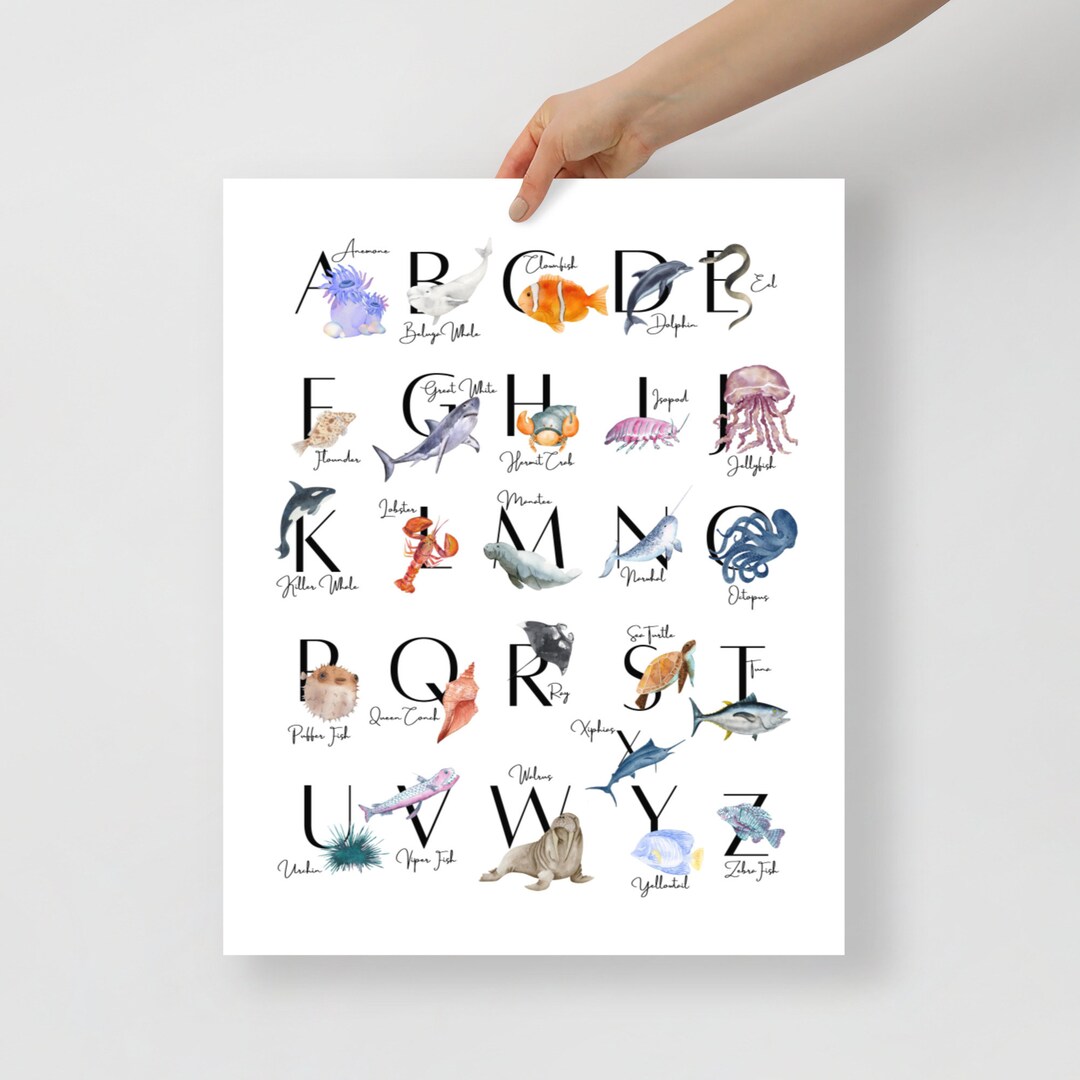 Alphabet Sea Creatures Poster Print - Etsy