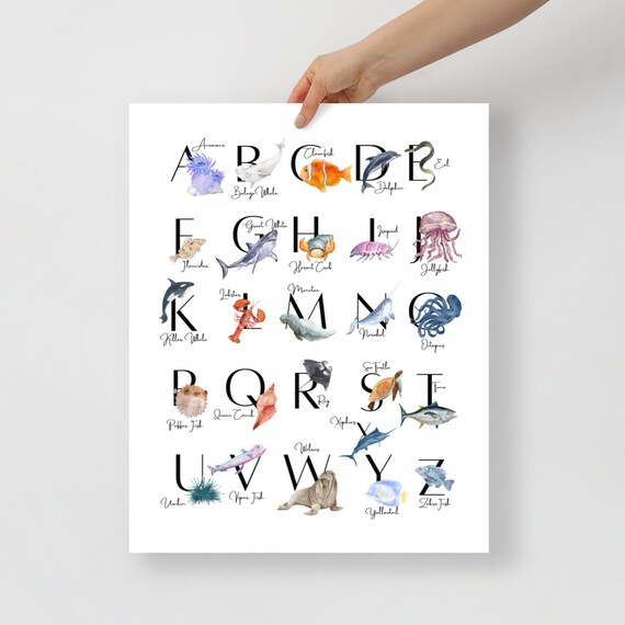 Alphabet Sea Creatures Poster Print - Etsy