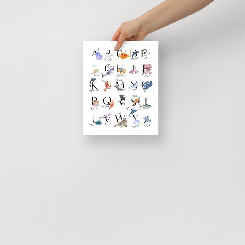 Alphabet Sea Creatures Poster Print - Etsy