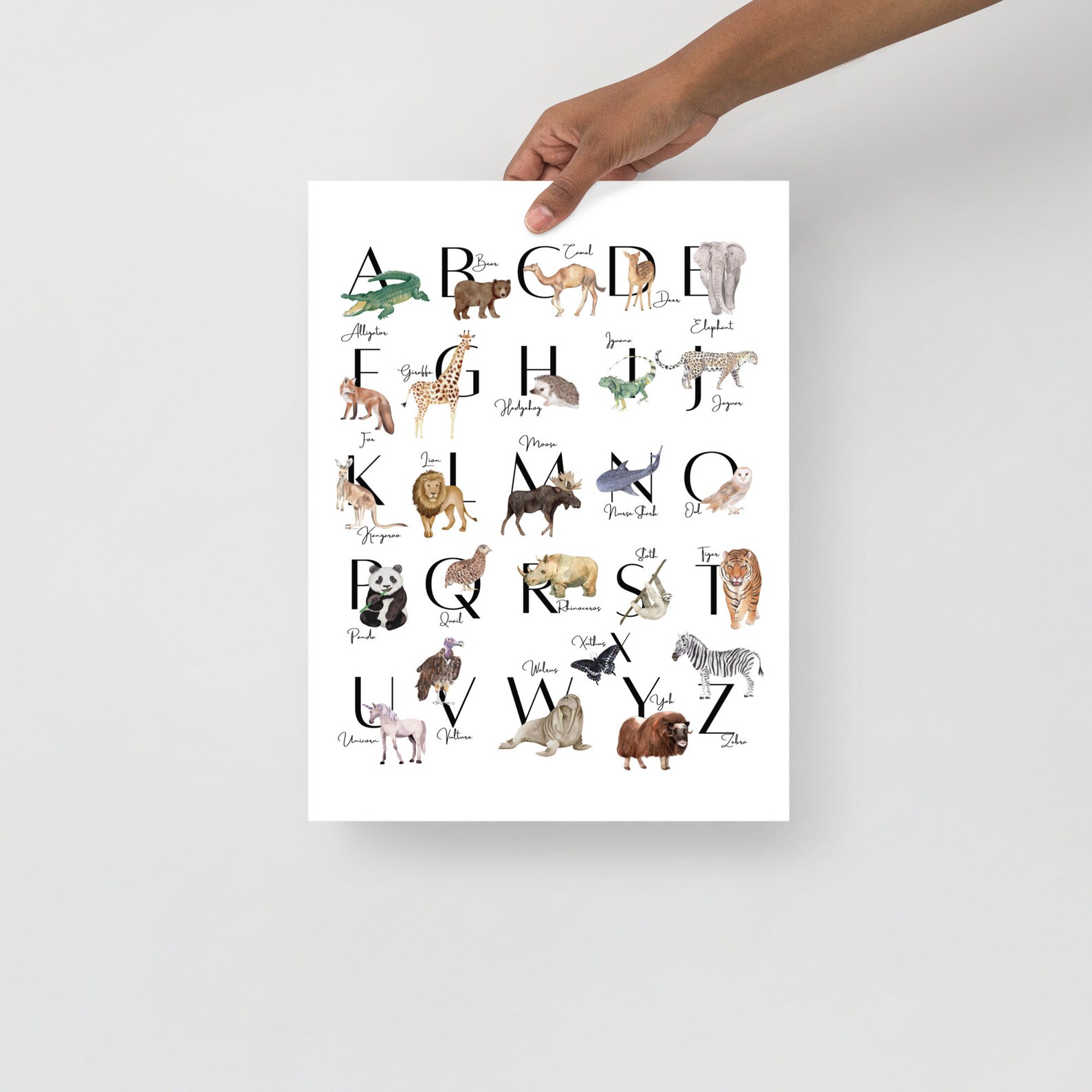 Alphabet Animal Poster Print - Etsy