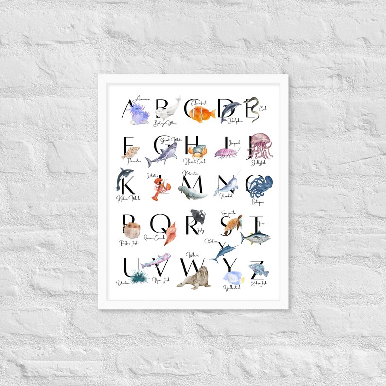 Framed Alphabet Sea Creatures Wall Art - Etsy
