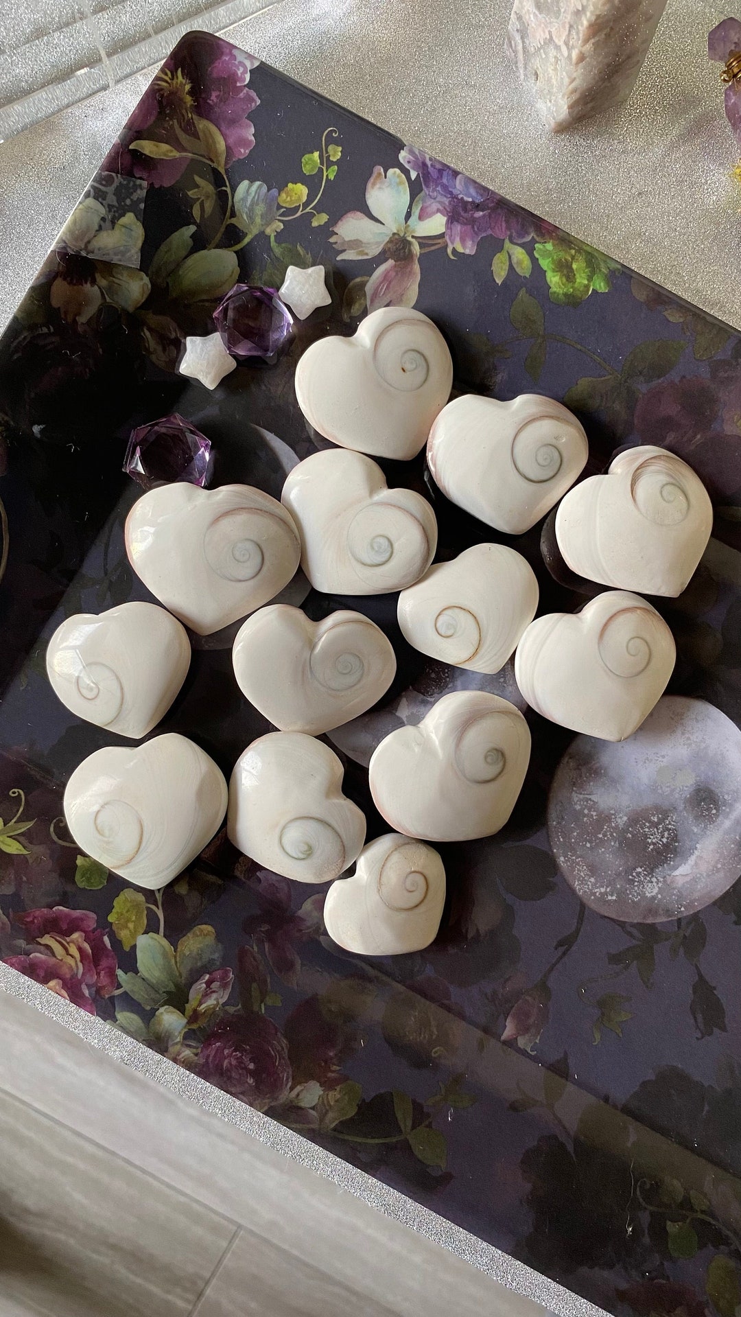 Shiva Eye Shell/ Shiva Shell/ Cat’s Eye Shell/ Sea Energy/ Protection ...