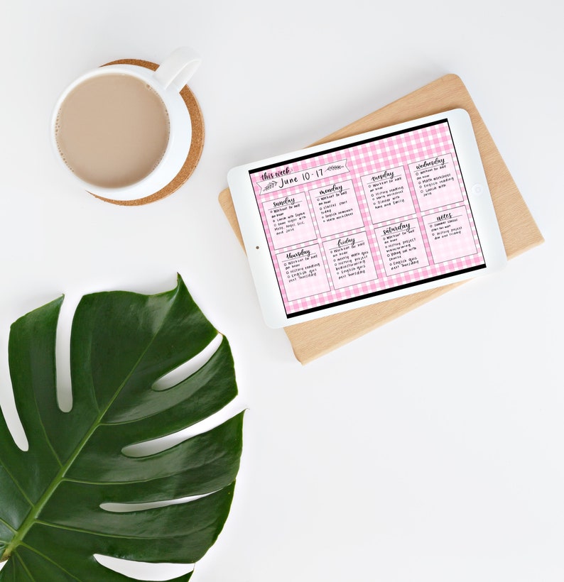 Pink Gingham Bullet Journal Printable Weekly Spread - Etsy
