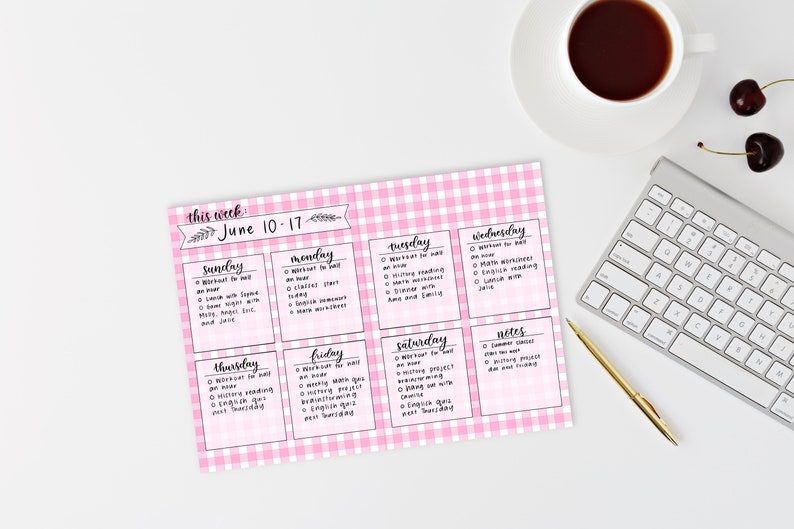 Pink Gingham Bullet Journal Printable Weekly Spread - Etsy