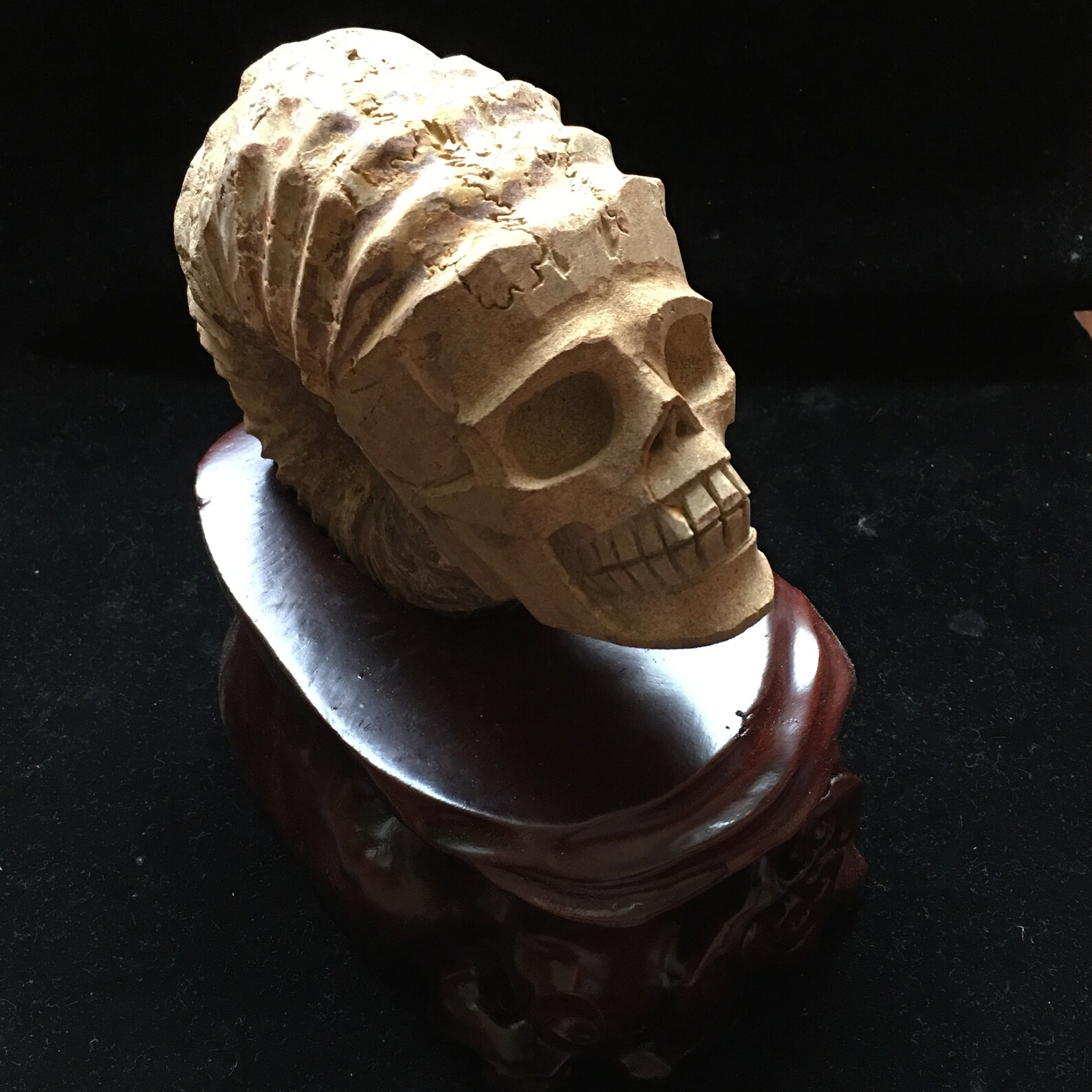 Ammonites Fossil Natural Carving ART Skull & Wood Stand G1222 - Etsy