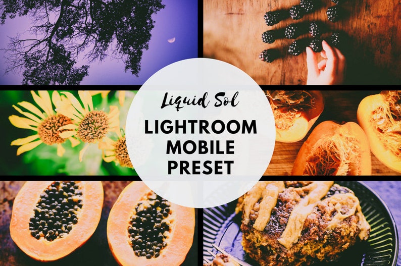 Lightroom Mobile Preset LIQUID SOL Bright, Moody, Warm, Earthy Editing ...