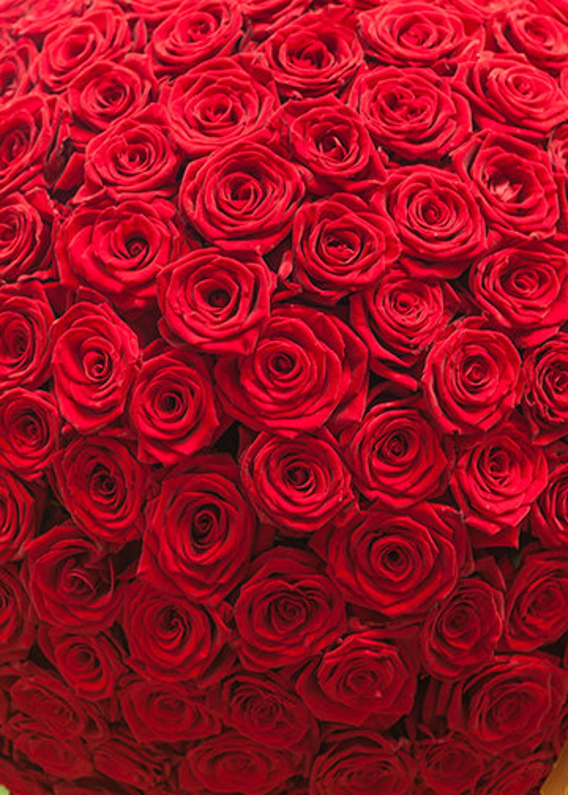 Wall of Roses Wedding Decor Wedding Door Hanger Wedding Door | Etsy