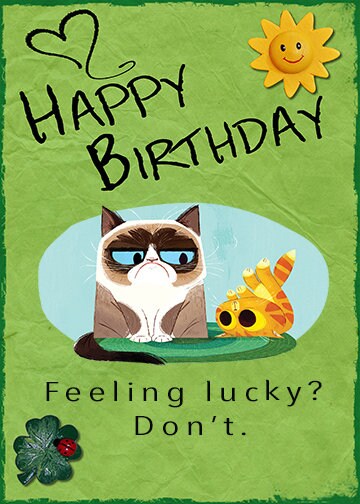 Grumpy Cat Surprise Grumpy Cat Birthday Grumpy Cat Door - Etsy