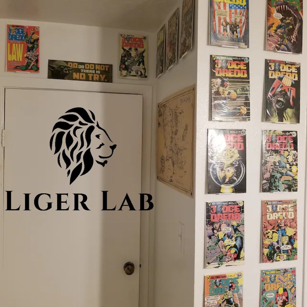 Comic Book Wall Mount - Etsy