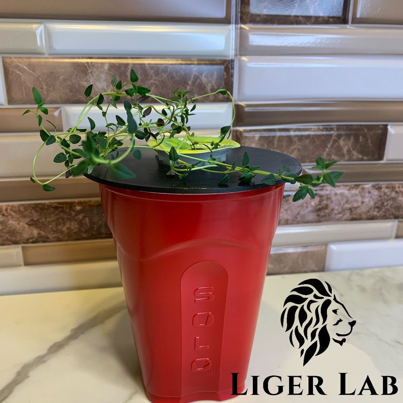 Kratky - Etsy