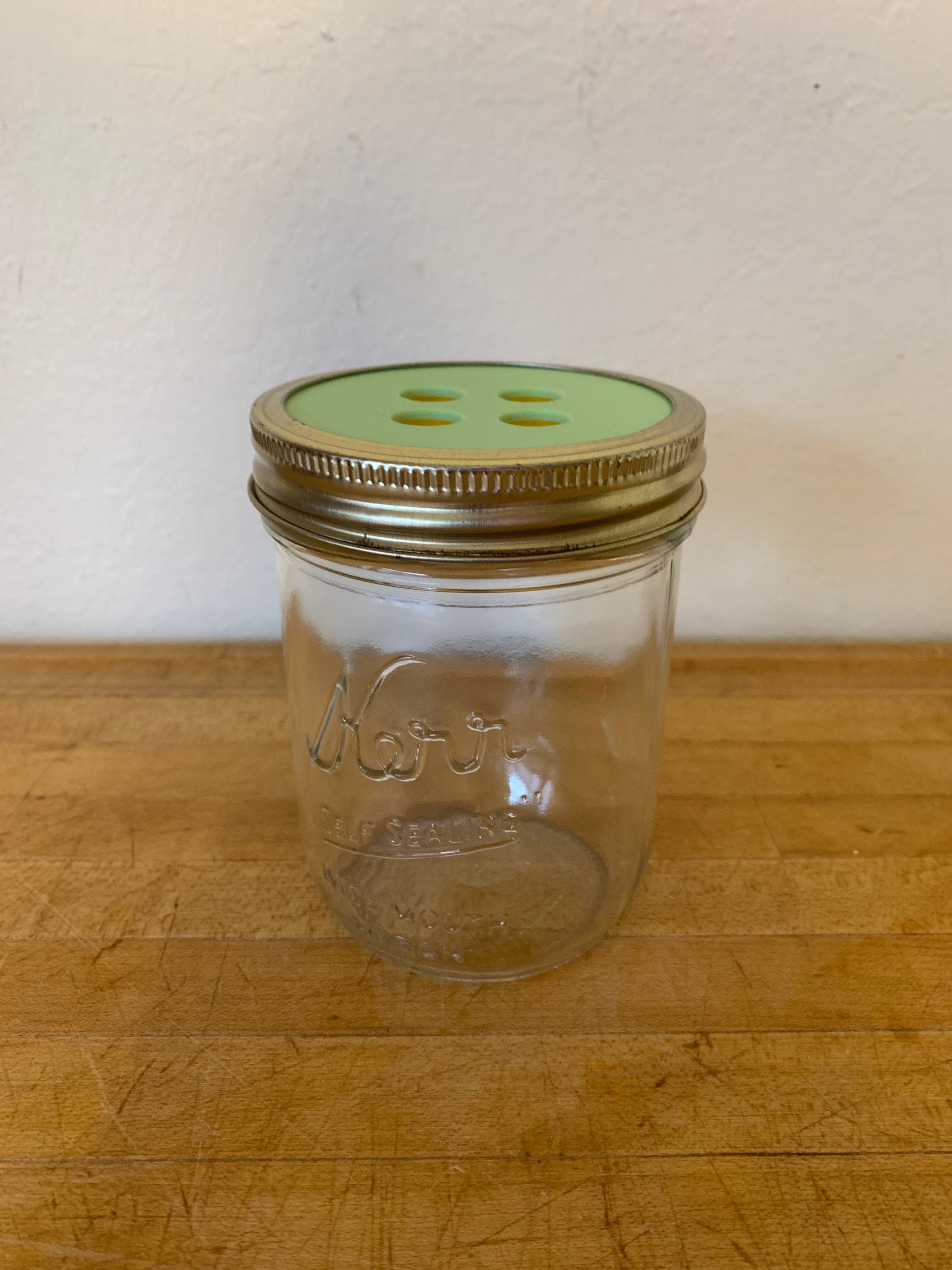 Fruit Fly Traps 4 Cone - Etsy Canada