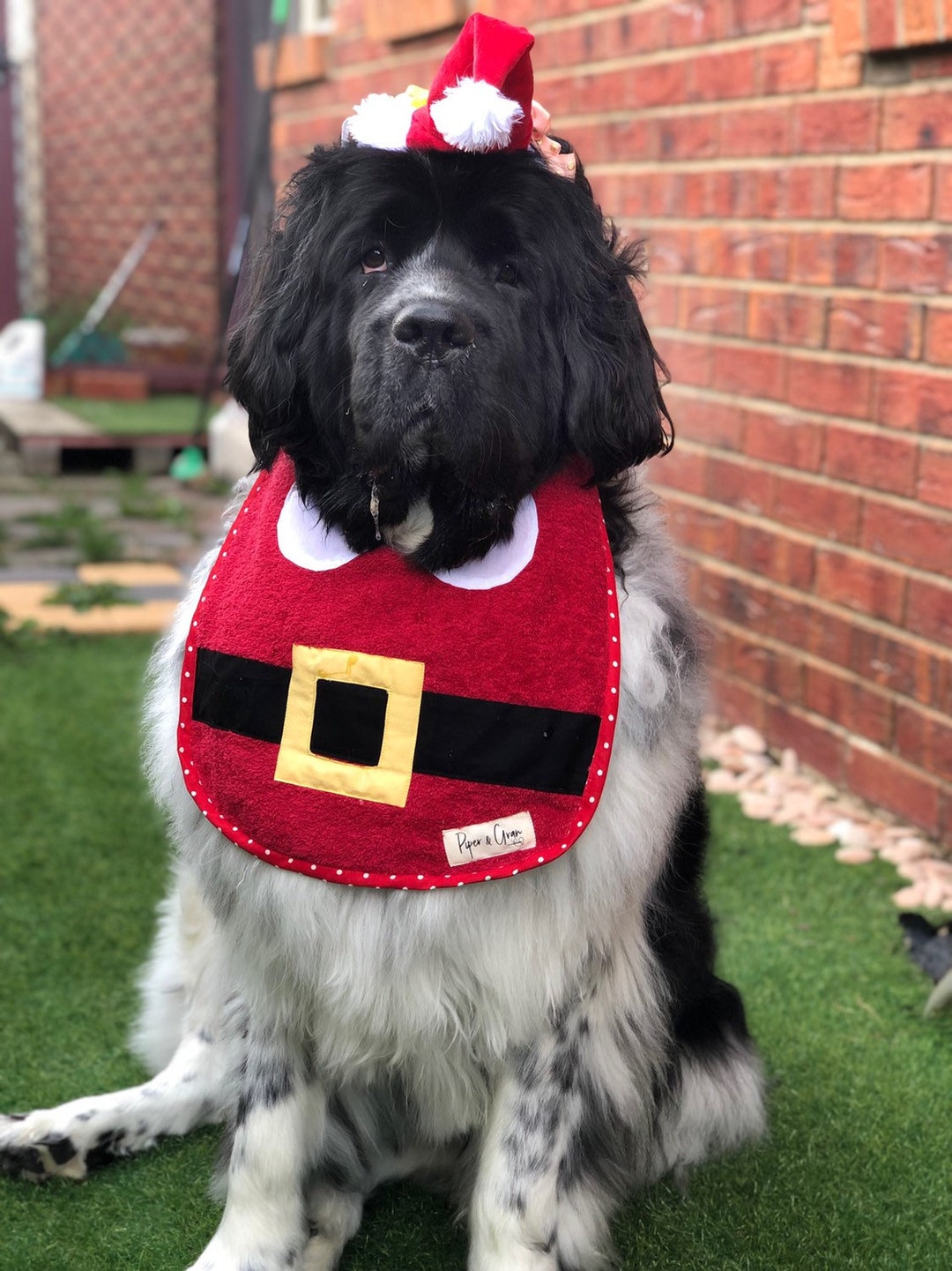 Christmas Santa Bib Giant Big Dog Drool Bib Dog Bib Newfoundland Newfie ...