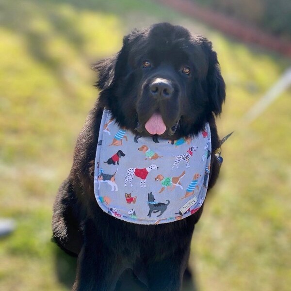 Newfoundland Bib - Etsy