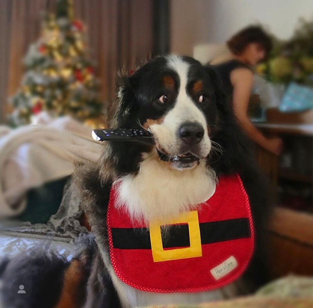Christmas Santa Bib Giant Big Dog Drool Bib Dog Bib Bernese Mountain ...