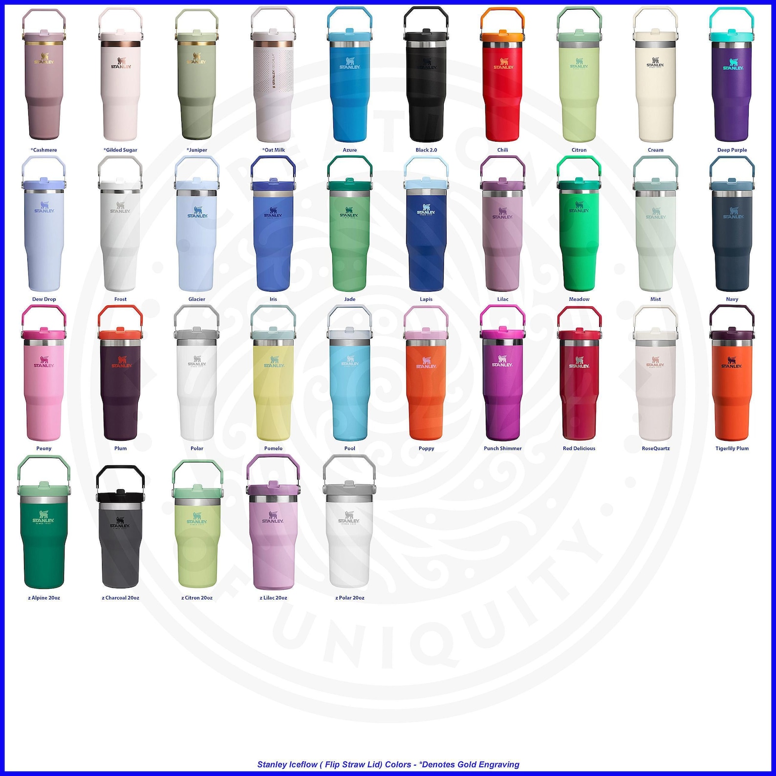 Personalized Cheer Theme Stanley! - Lots of Color Options - Authentic ...