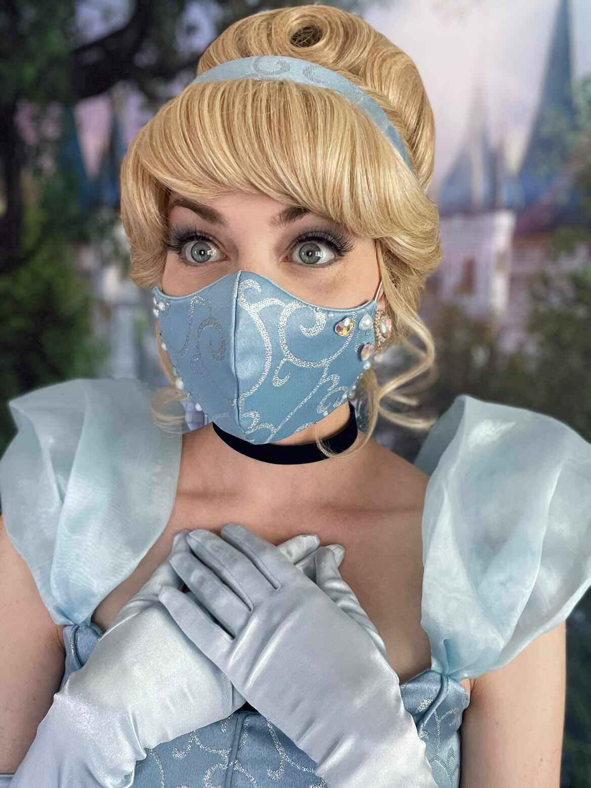 Cinderella Park Swirl Inspired Face Mask | Etsy