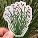 Ocotillo Vinyl Sticker - Etsy
