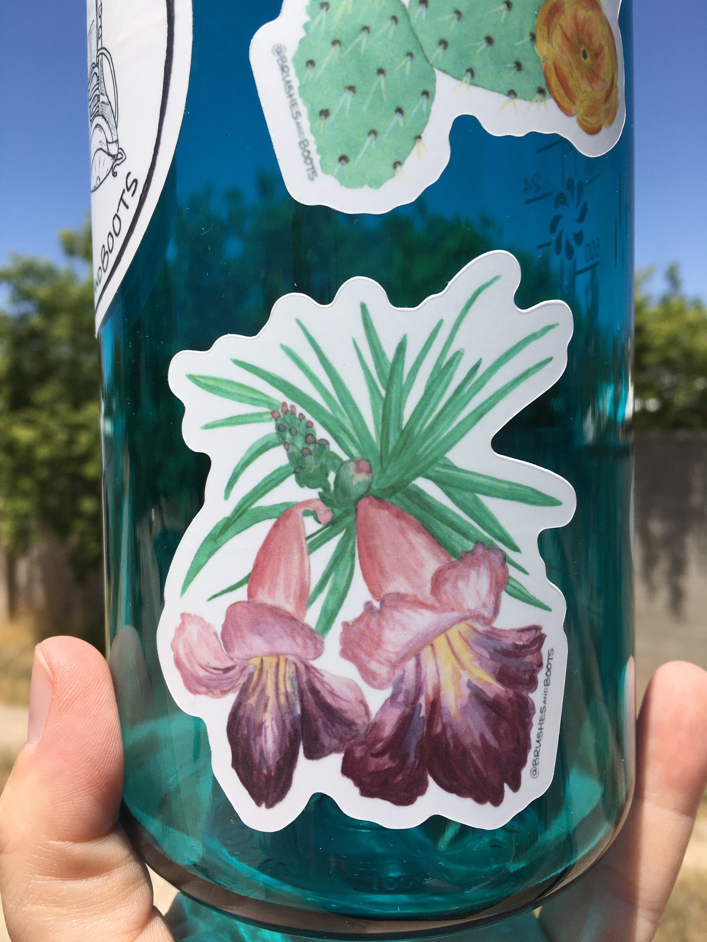 Desert Willow Bloom Vinyl Sticker - Etsy