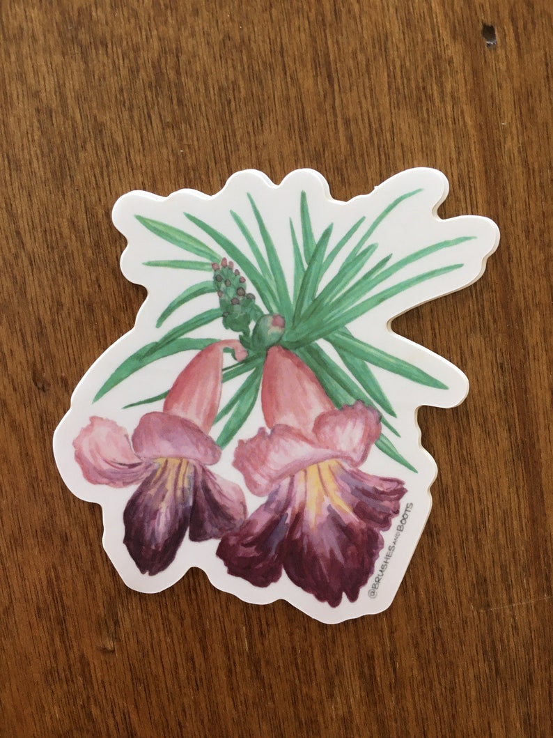 Desert Willow Bloom Vinyl Sticker - Etsy