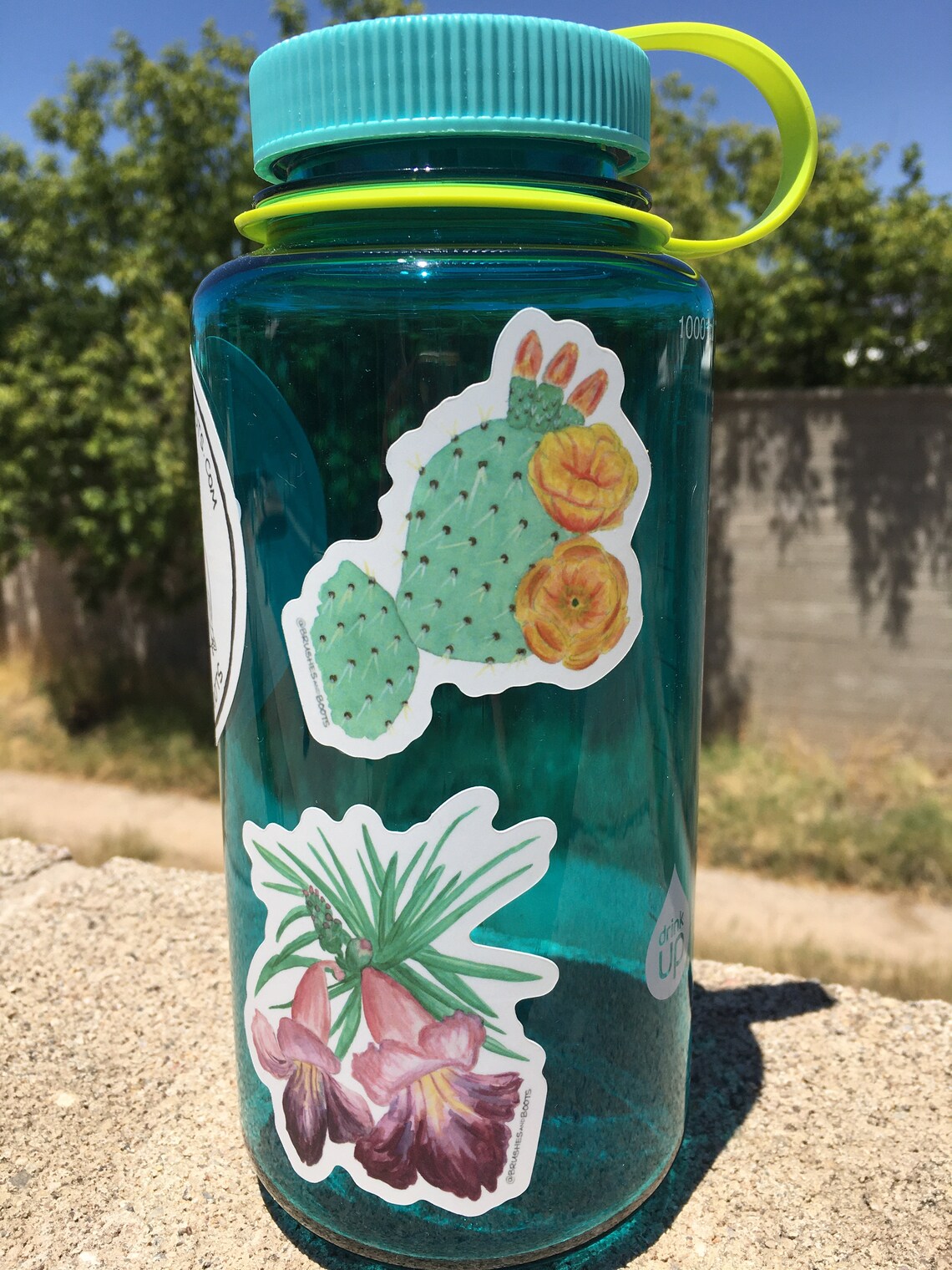 Prickly Pear Bloom Vinyl Sticker - Etsy