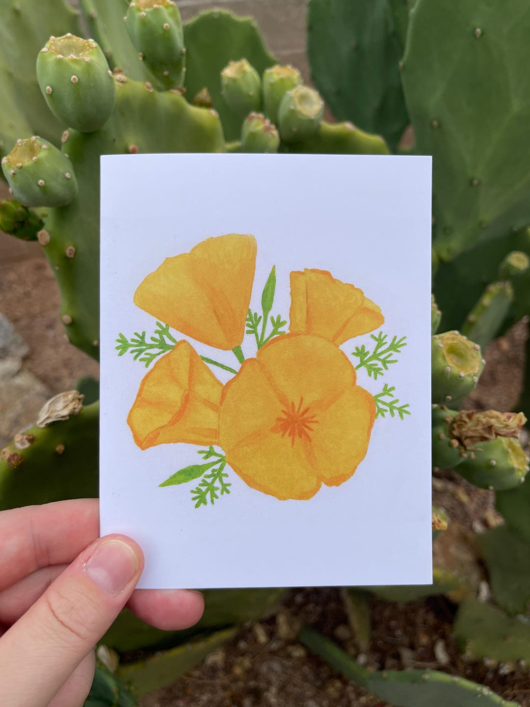 Poppy - Blank Greeting Card - Etsy