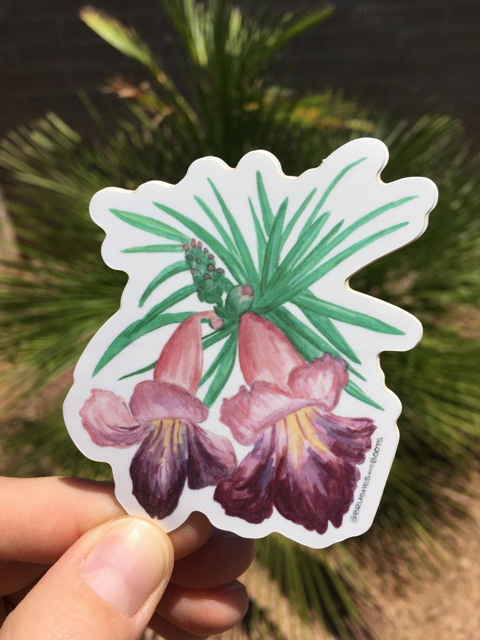Desert Willow Bloom Vinyl Sticker - Etsy
