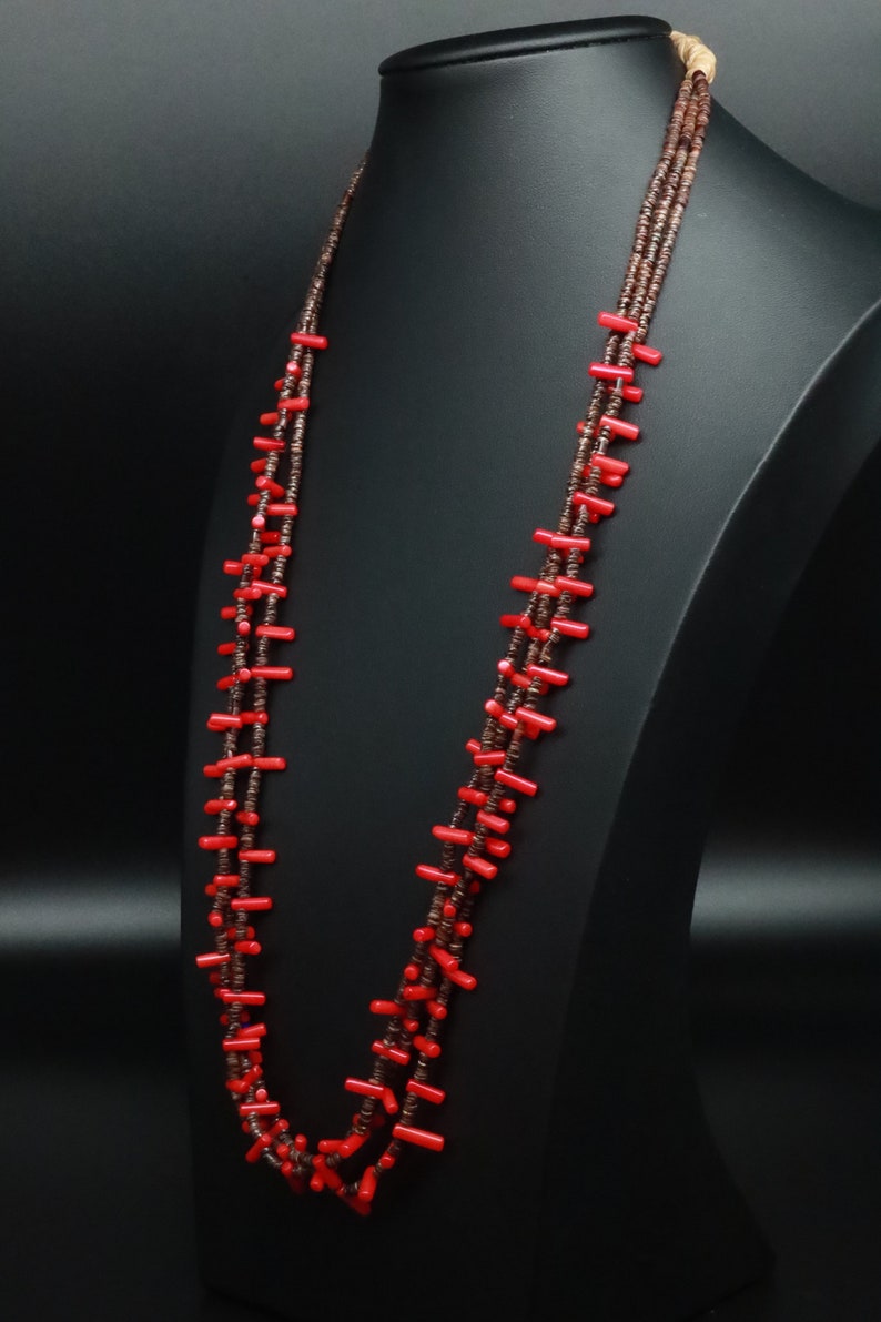 Pueblo Branch Coral Necklace Heishi and Coral Indigenous Jewelry Sinew ...