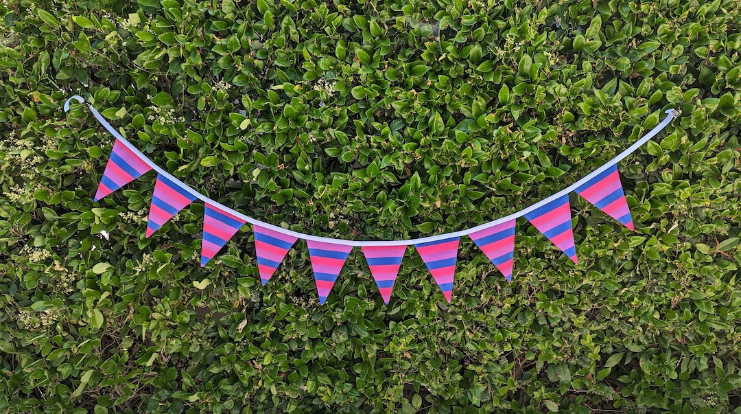 Bisexual Pride Banner - Pride Flag - LGBTQ - Bi Flag Bunting - Queer ...