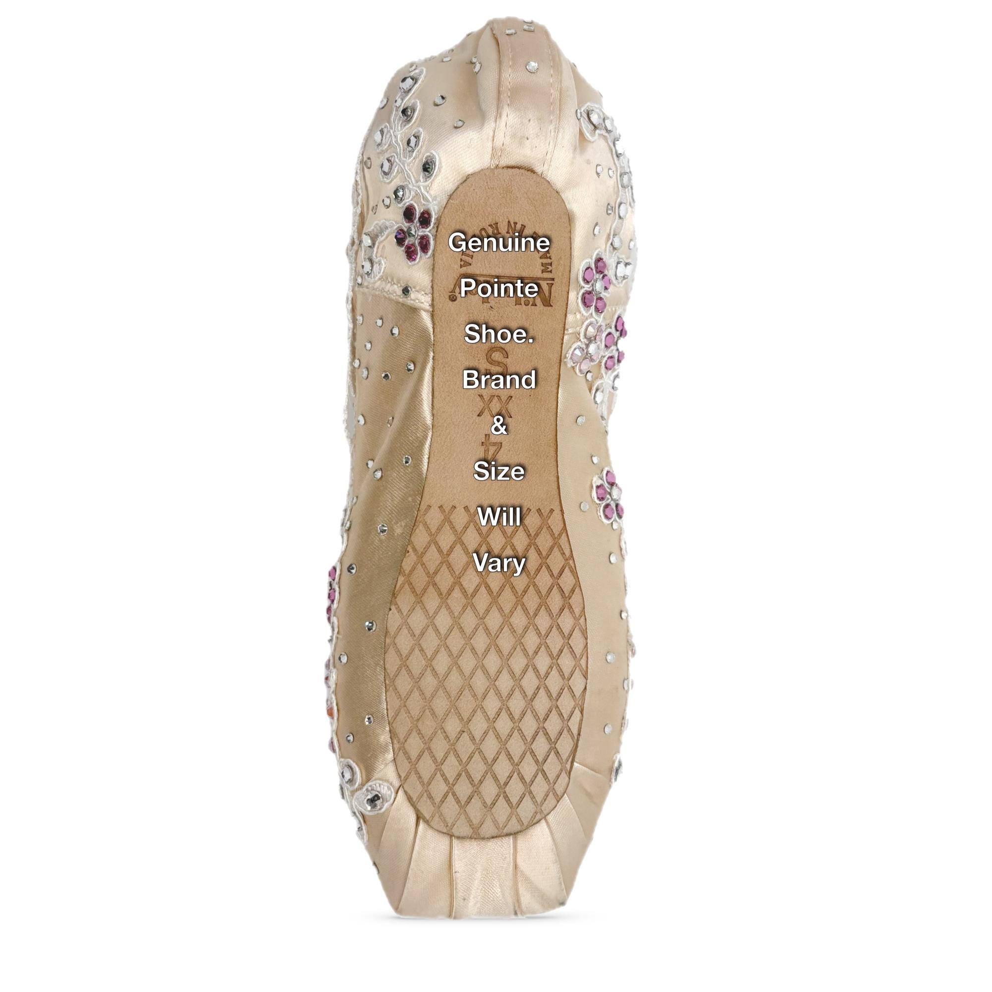 Pointe Shoe Display Decor | Swarovski Crystals | Ballet Keepsake ...