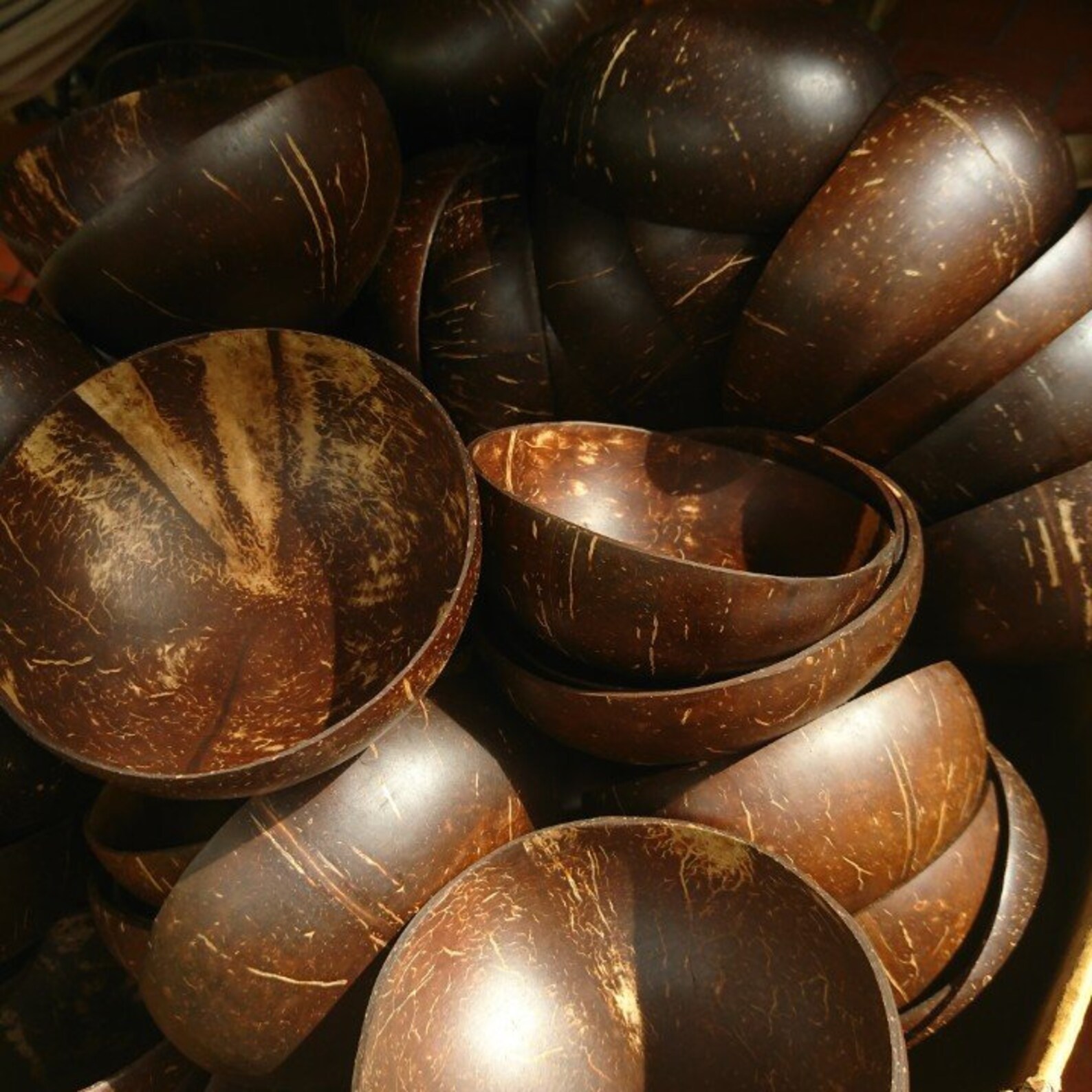 Jumbo Coconut Shell Rain Forest 2pic 3 Pic 4 Pic 5 Pic - Etsy