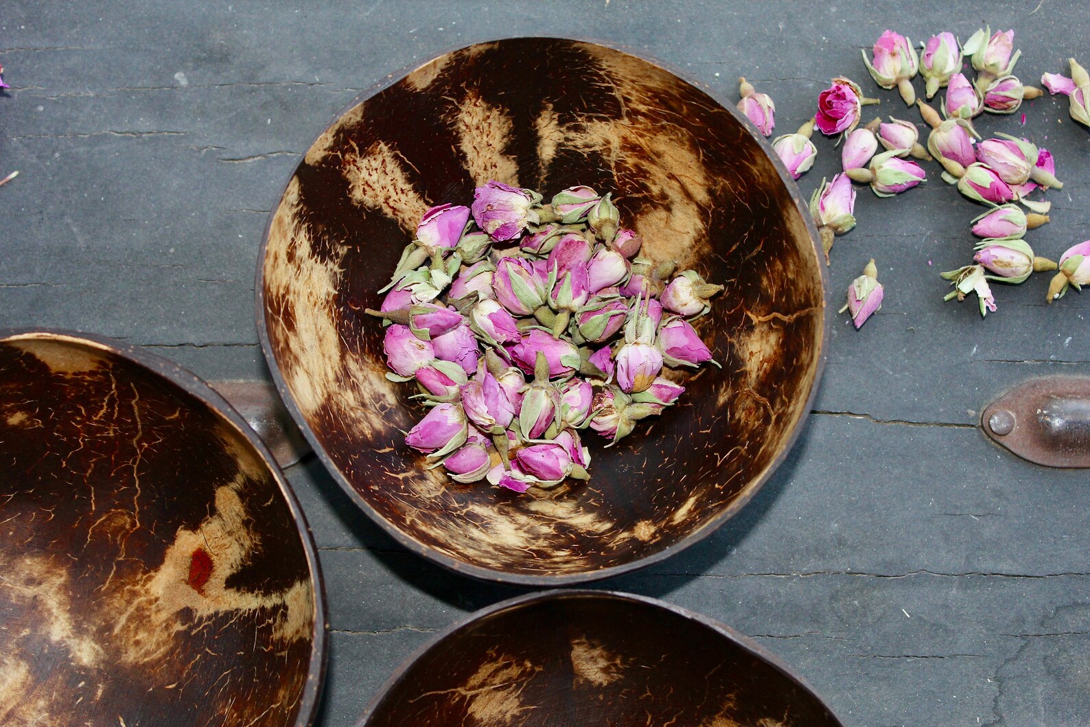 Jumbo Coconut Rainforest Bowl Originai 2 Pice %100 Natural - Eco ...