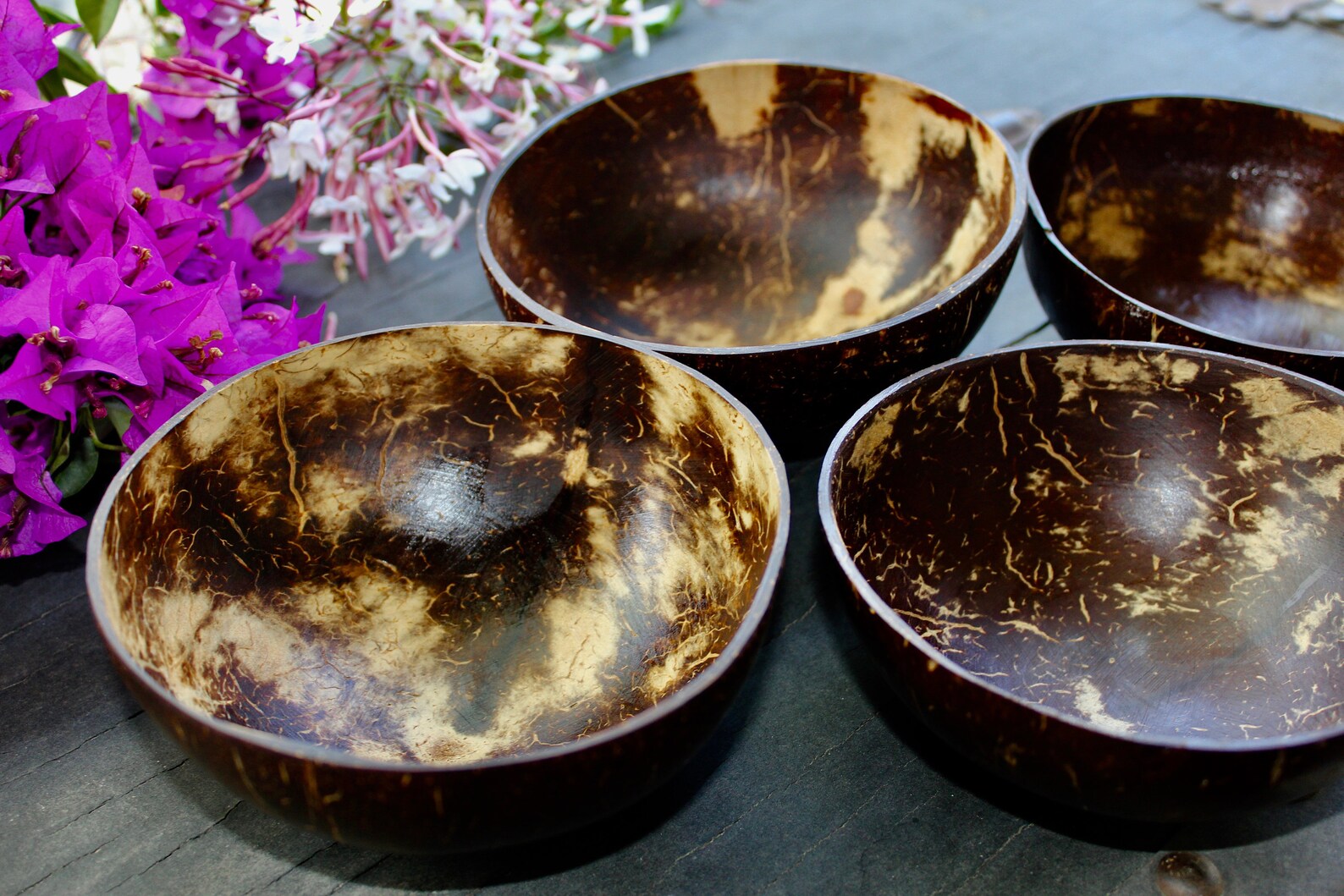 Jumbo Coconut Shell Rain Forest 2pic 3 Pic 4 Pic 5 Pic - Etsy